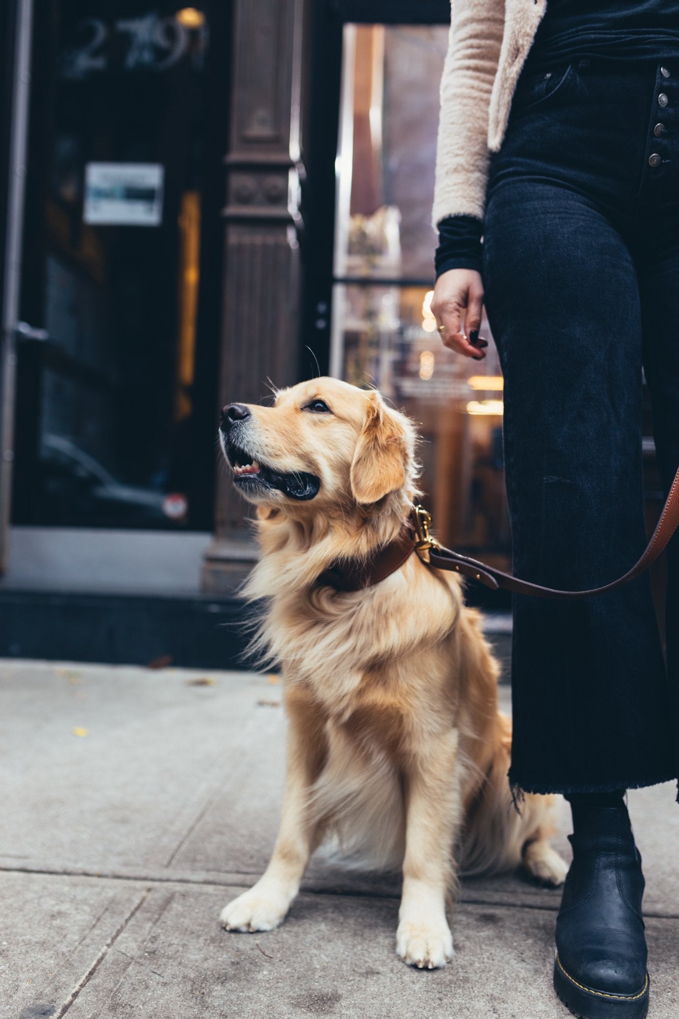 Boutique Grooming, Self Service Dog Wash New York - Now You're Clean