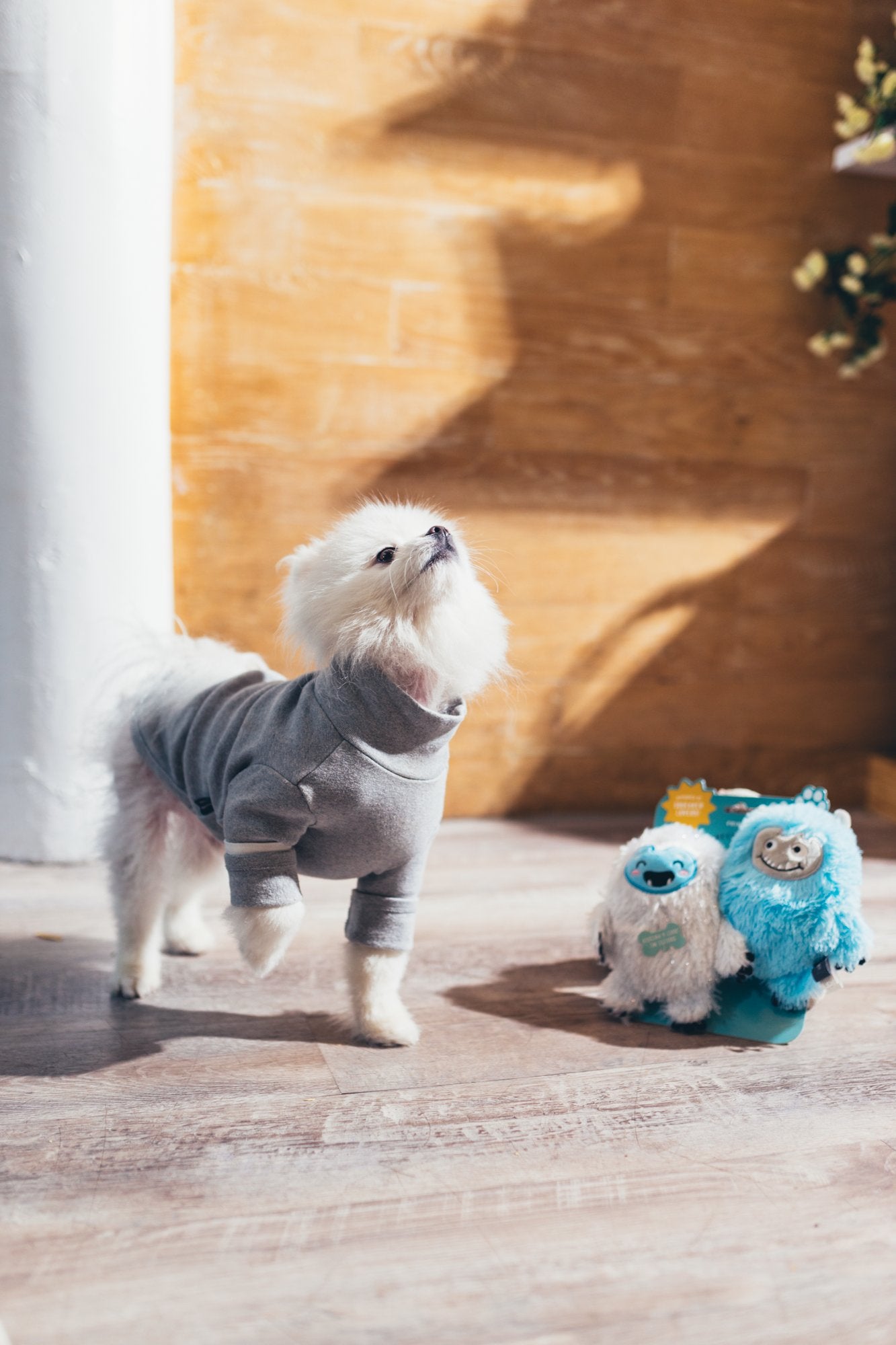 Boutique Grooming, Self Service Dog Wash New York - Now You're Clean